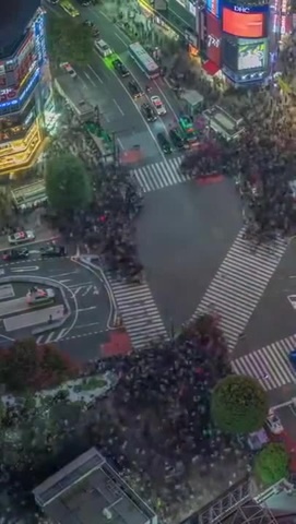 Tokio crossroad - Coub