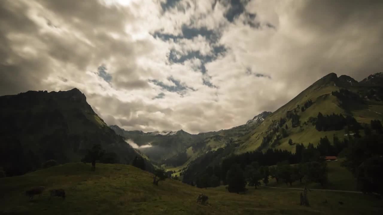 Wretch - Coub - The Biggest Video Meme Platform