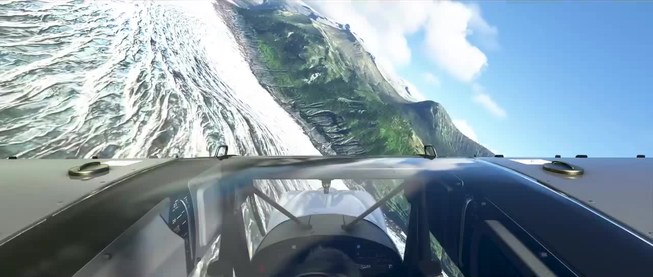 Microsoft Flight Simulator - Coub