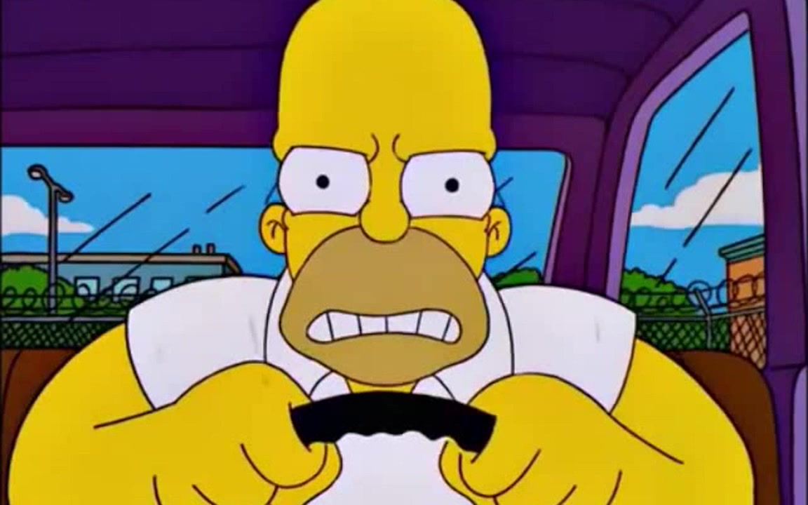 Homer Simpson - Die Mutherfuker Die - Coub