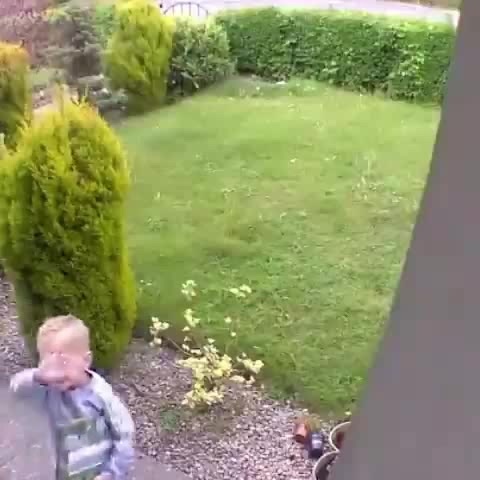 White boy Boris - Coub