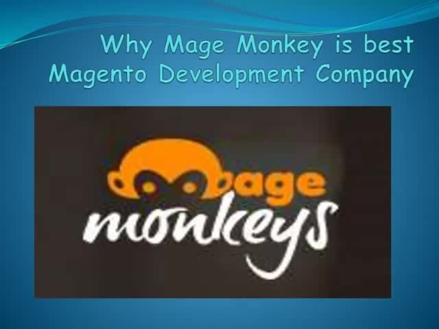 Why Mage Monkey is best Magento Development Company - Coub - The Biggest Video Meme Platform
