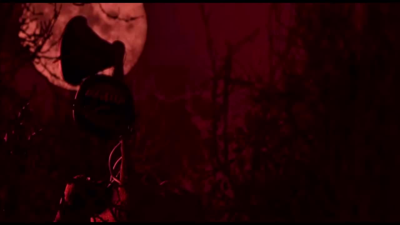 IT in forest... - Coub