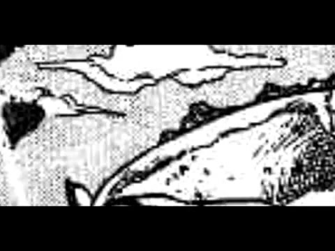 What a beautiful Duwang - Coub