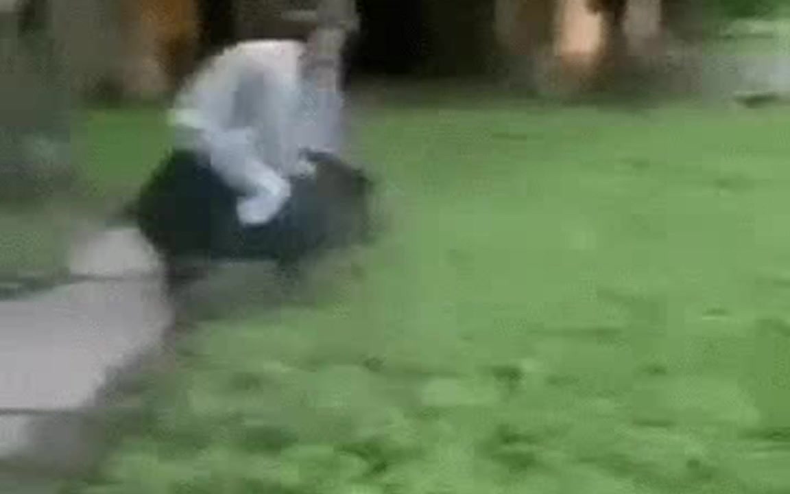 Shooting Stars - Coub - The Biggest Video Meme Platform