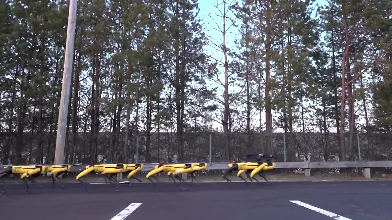 Hell boston dynamics march - Coub - The Biggest Video Meme Platform