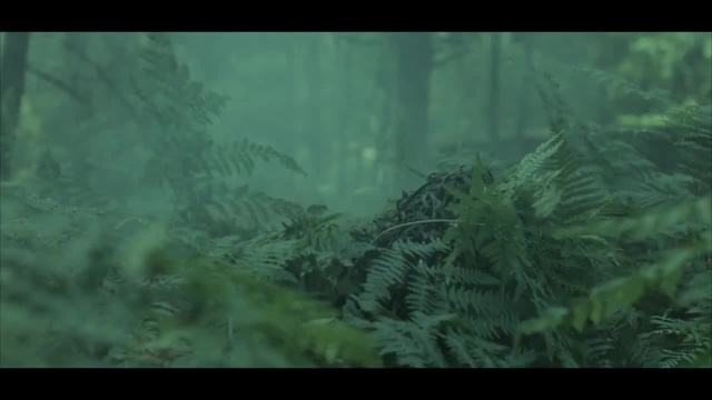 Stealth - Coub - The Biggest Video Meme Platform