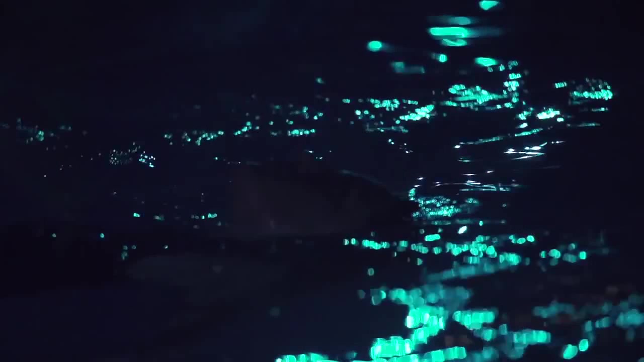 ODESZA - Light (feat. Little Dragon) - Coub