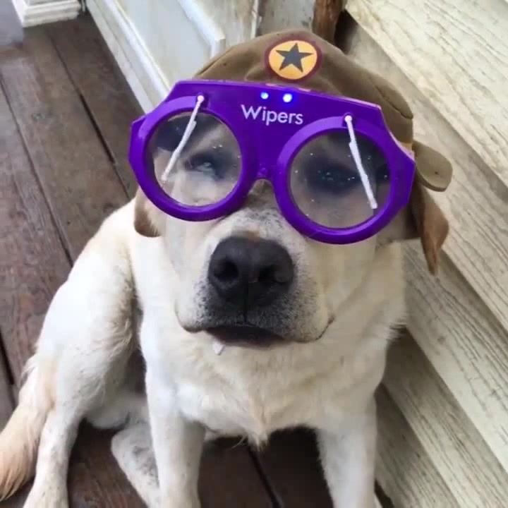 Just Rainy Day - Coub