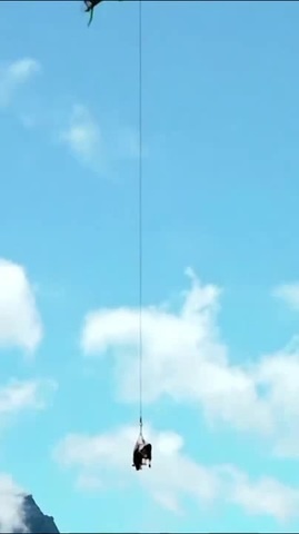 Holy Cow - Coub - The Biggest Video Meme Platform