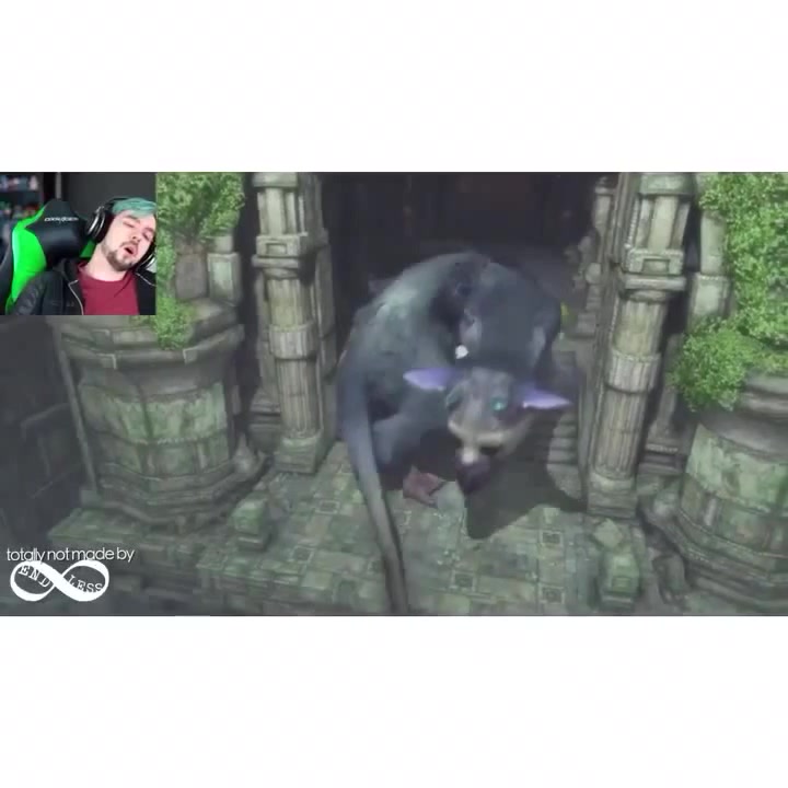 Shitposting at 1 am (press watch more) also headphone warning - Coub - The Biggest Video Meme ...