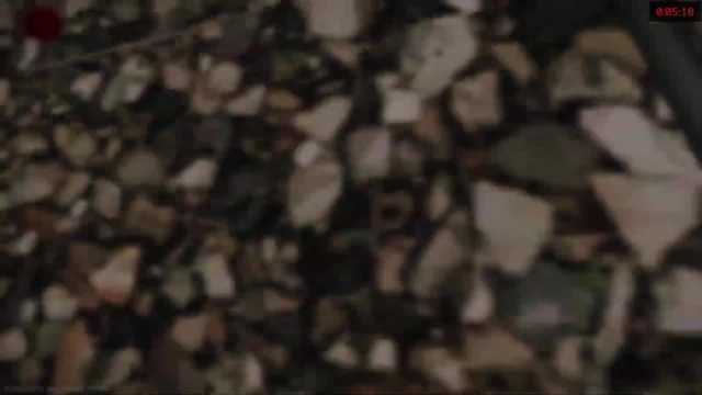 typical day in tarkov - Coub