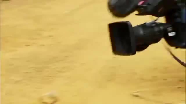 Venom Hunter: Frilled Lizard on the Attack - Coub - The Biggest Video Meme Platform