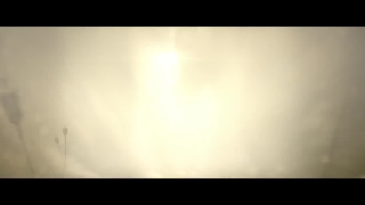 Rapture Rising - Coub