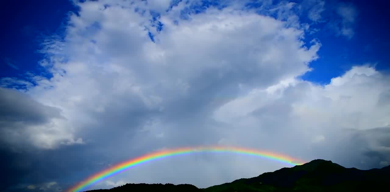 Rainbow - Coub - The Biggest Video Meme Platform