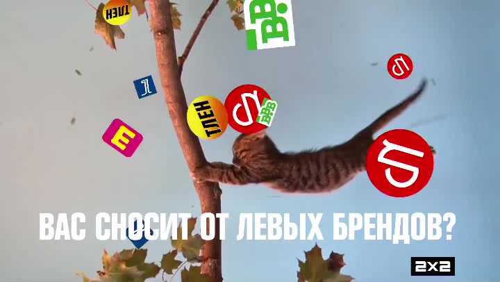 Brand storm 2x2 - Coub - The Biggest Video Meme Platform