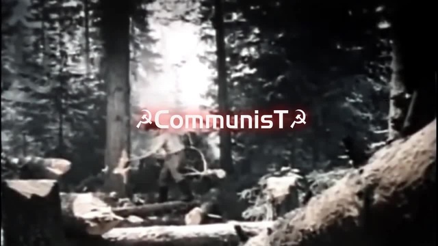 re: https://coub.com/view/3dk9rz (Lonely Soul) - Coub