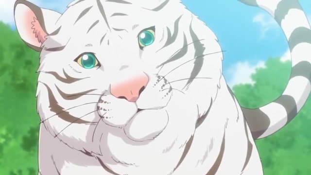 Fluffy Paradise ~Hello 2024~ - Coub