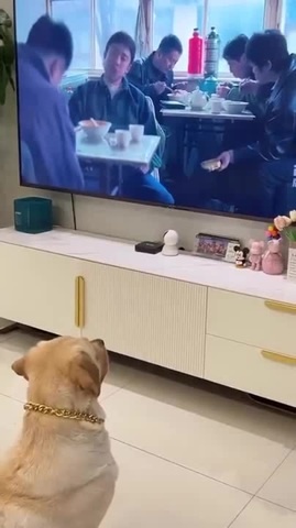 Mad world - Coub - The Biggest Video Meme Platform