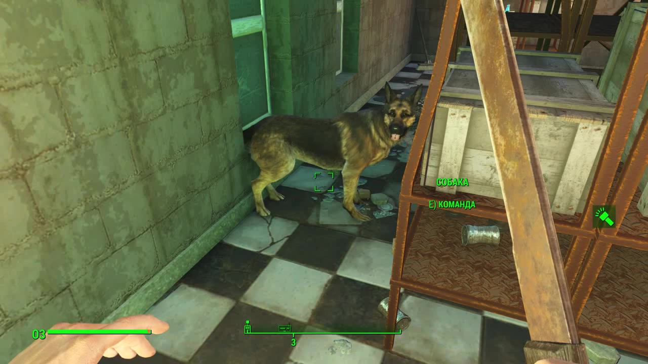 Michael Dog:Fallout 4 - Coub