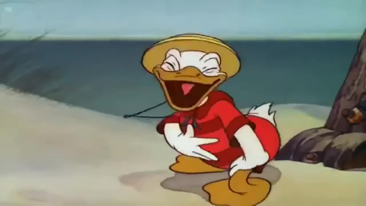 Donald Duck - Beach Picnic 19 - Coub