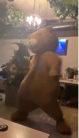 Bear dancing - Coub