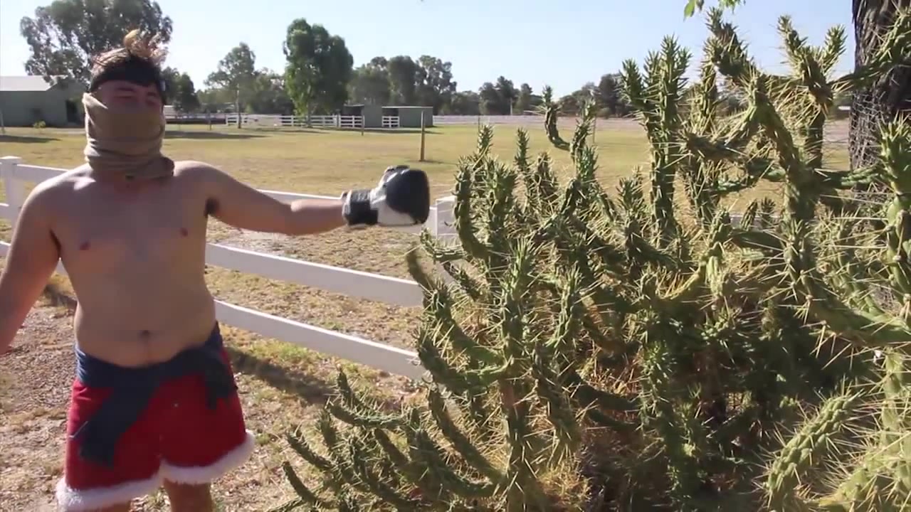 CoP - Cactus Body Slam - Coub