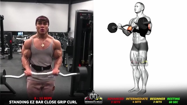 Great 13 Biceps and Triceps Exercises - Gym Workout Motivation - Coub ...