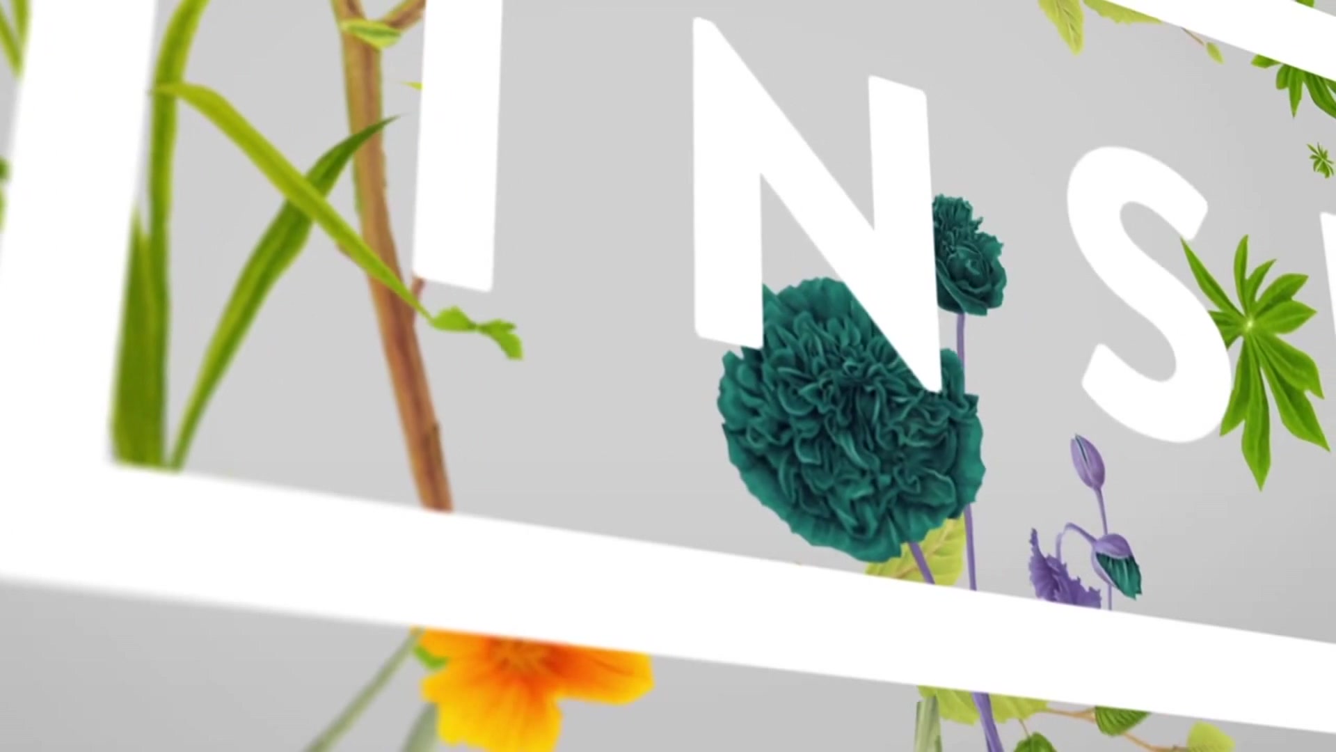 DWRK REEL 2014 [Dirty Work Factory] - Coub