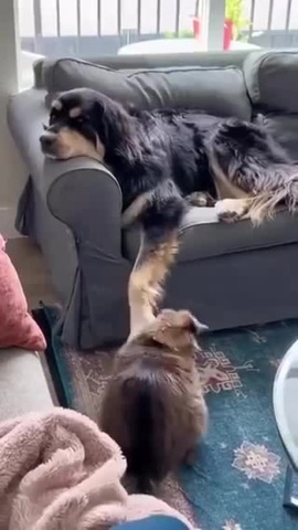 Please, serve yourself - Coub