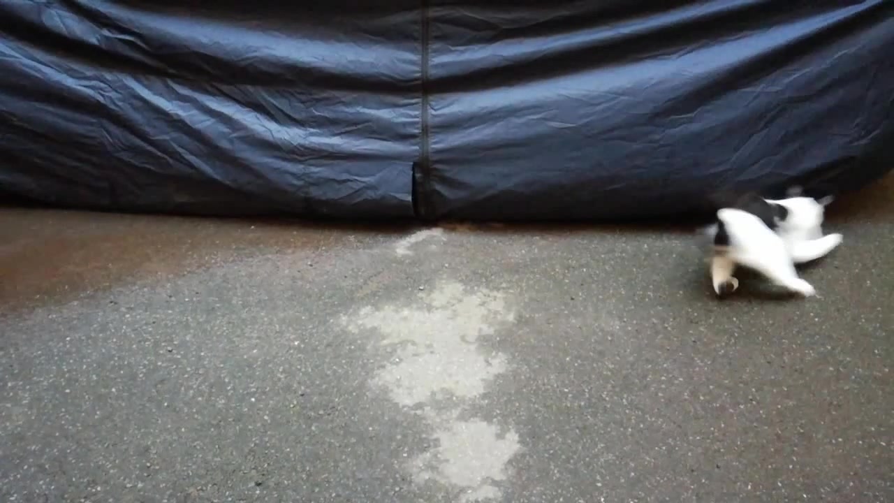 Рвун в колодце - Coub