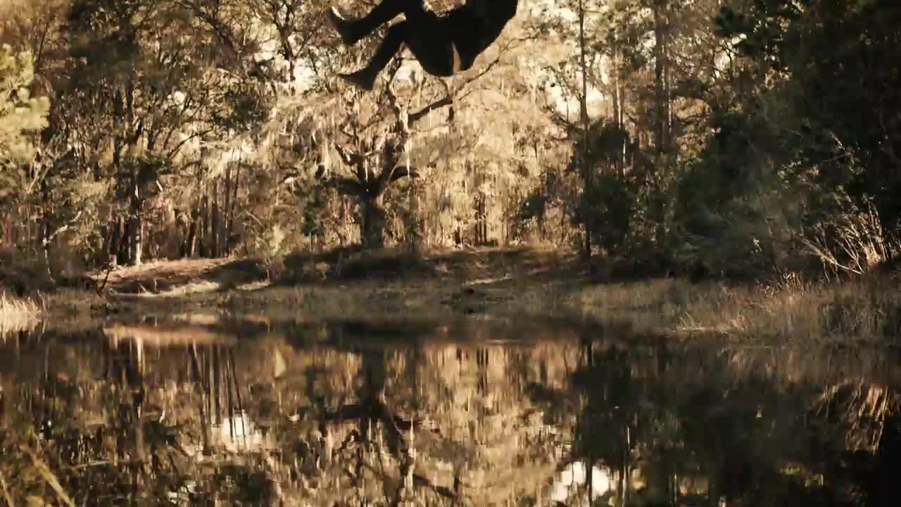 Wage War - Stitch (Official Music Video) - Coub - The Biggest Video ...