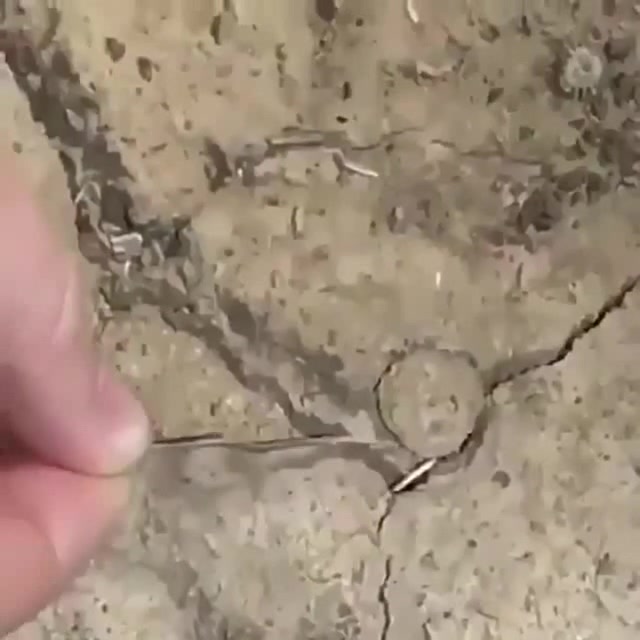 Close the door - Coub