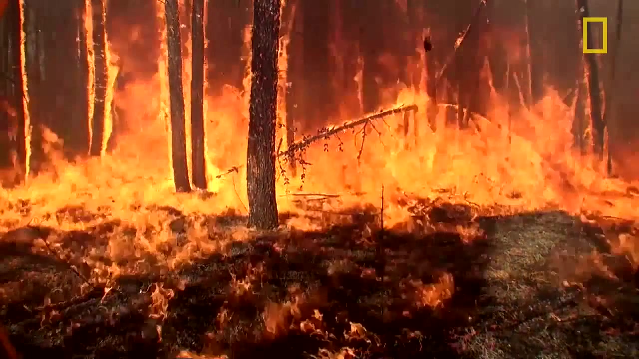 FIRE FIRE FIRE - Coub