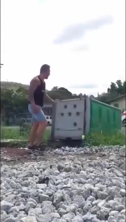 Knock em down - Coub