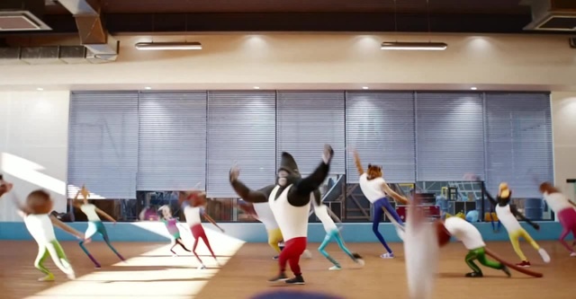 Show your tippy toes)) - Coub - The Biggest Video Meme Platform