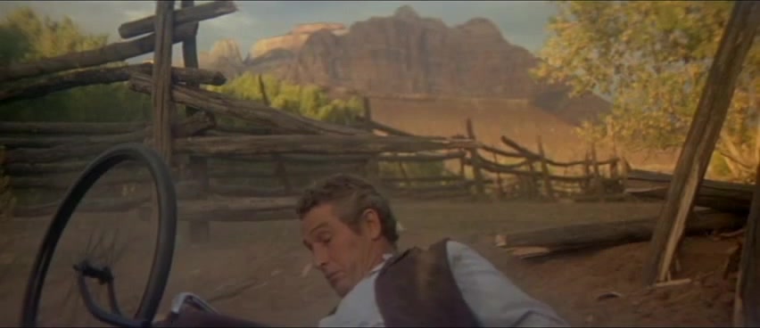 hypnotized cow's eyes - Coub