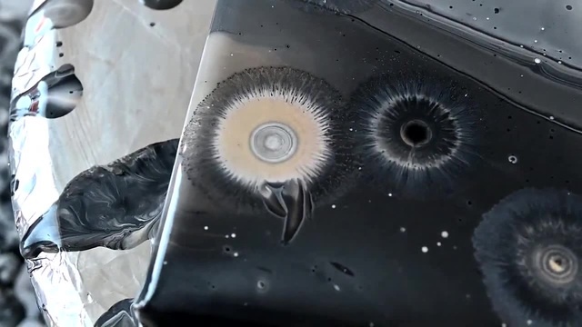 Windex Magic: Beautiful Flowers with This Acrylic Pouring Technique / Easy Fluid Art - Coub