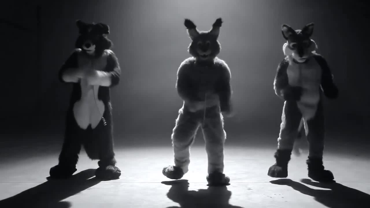All the Single Furries - Coub