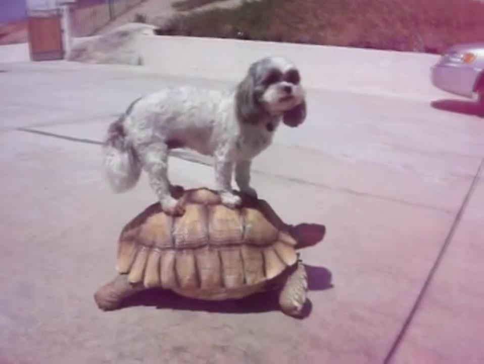 So sloooooow Initial D - Coub