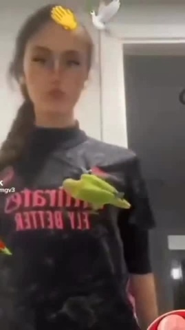 bye bye birdy - Coub