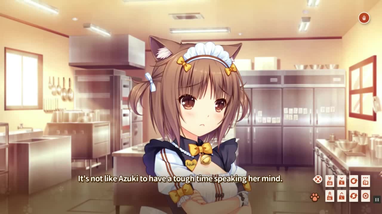Azuki cat joke - Coub