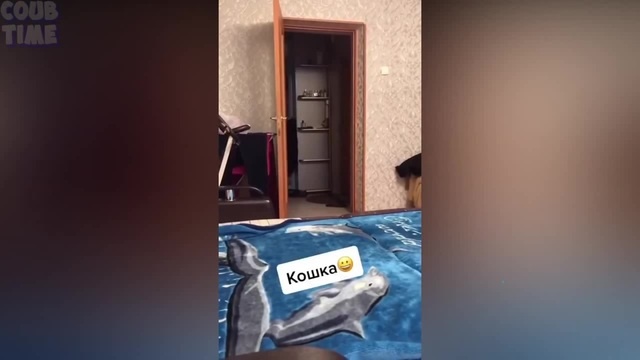 COUB TIME #20 | BEST MEMES | FAILS | GIRLS | Лучшие Приколы 2024 - Coub - The Biggest Video Meme ...