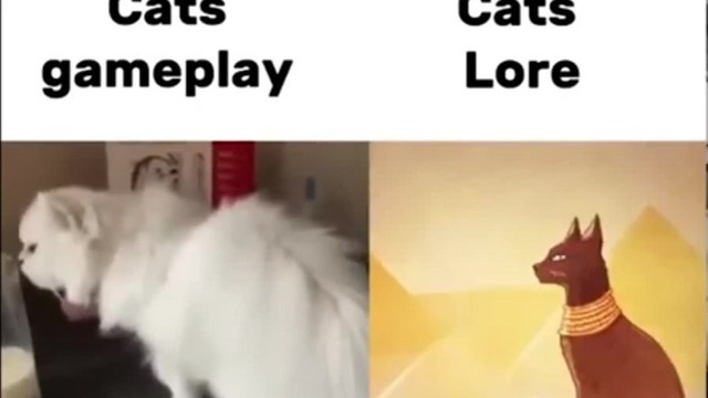 cat gameplay vs cat lore - Coub