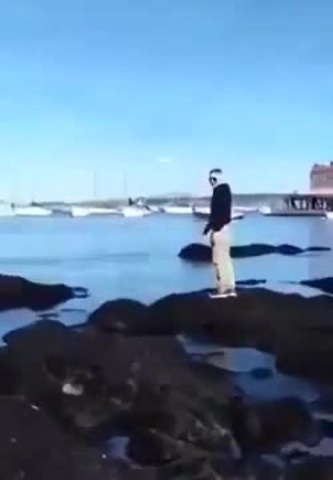 Seal jumping meme - Coub