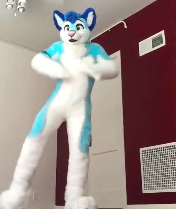 Cute furry dance - Coub - The Biggest Video Meme Platform
