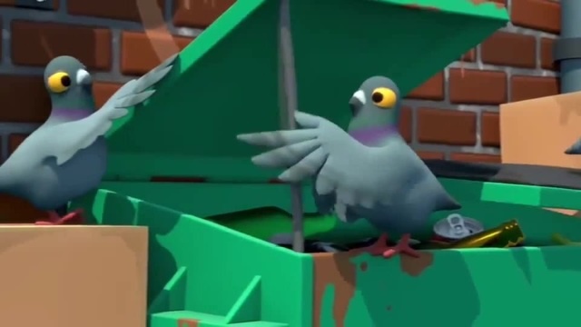 Pigeons - Coub - The Biggest Video Meme Platform