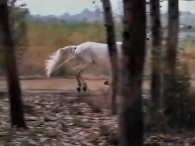 Enigma - love - Coub