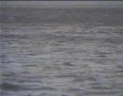 50 waves grey - Coub