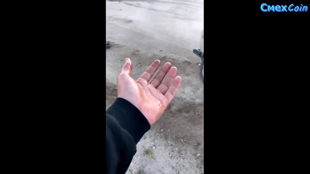 Your problems - Coub